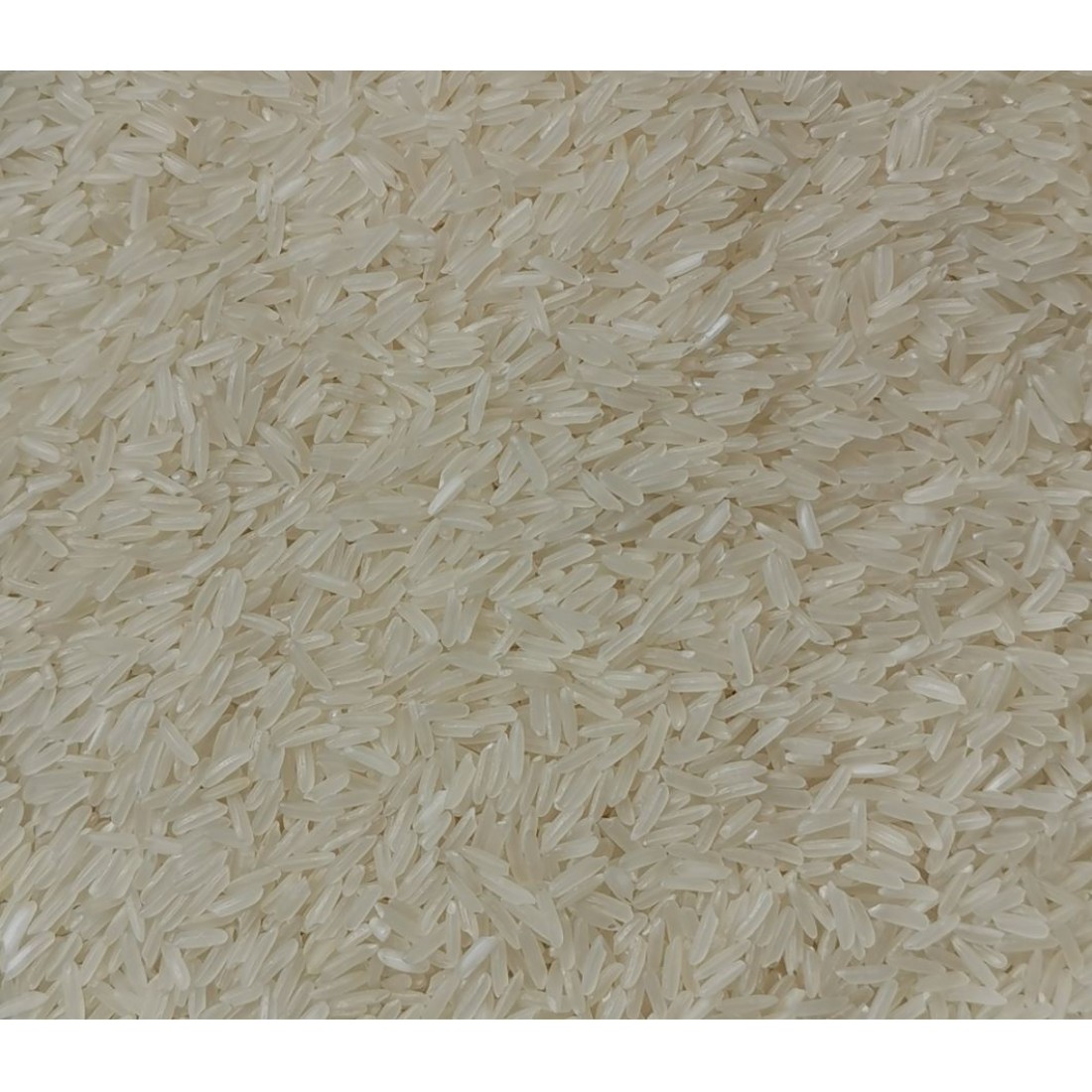 Golden Worth Jasmine Rice 25kg