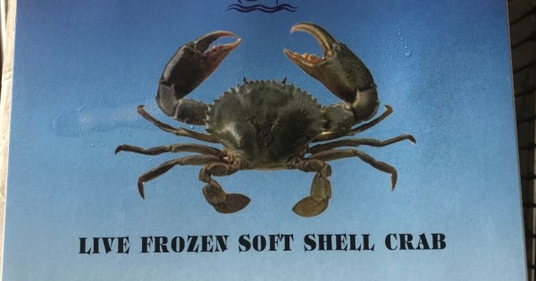 Live Frozen Soft Shell Crab 1kg